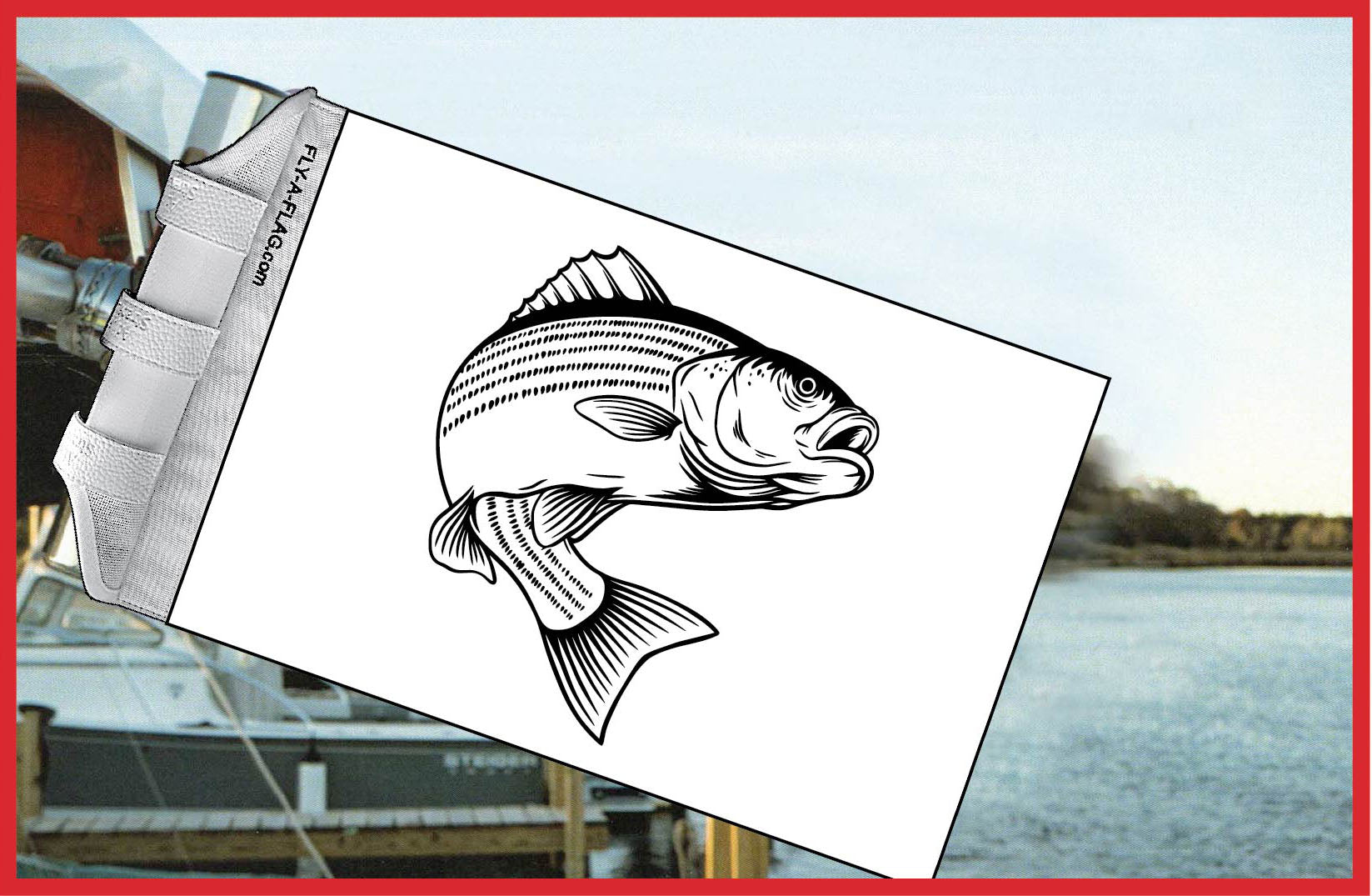 Catch Flags – FlyAFlag