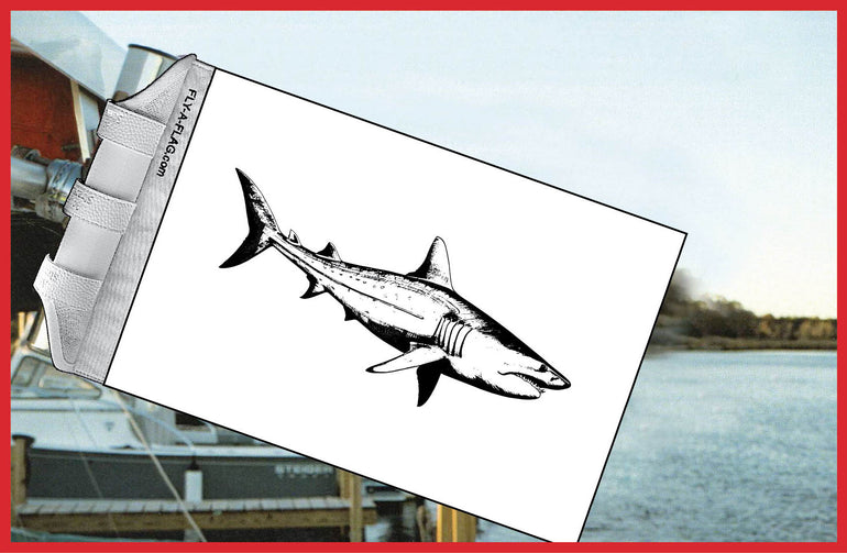 Catch Flags – FlyAFlag